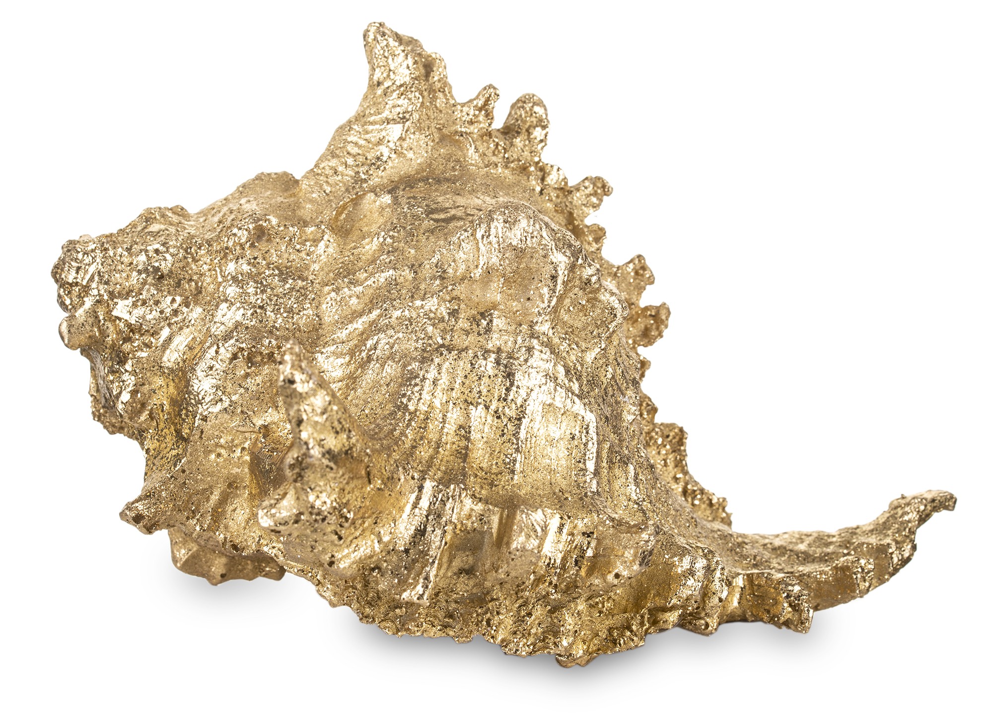 figurka muszla Goldshell, wym.12x17x18cm - tendom.pl
