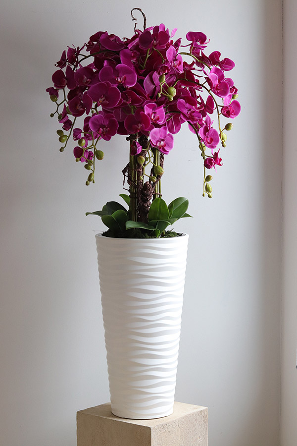 Gizelle Fuksja 2, wysoki sztuczny storczyk w białej donicy, wys.120cm ...