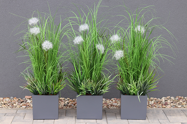 Delano Fiberglass Grey, kompozycja traw z dmuchawcami, kpl.3szt - tendom.pl